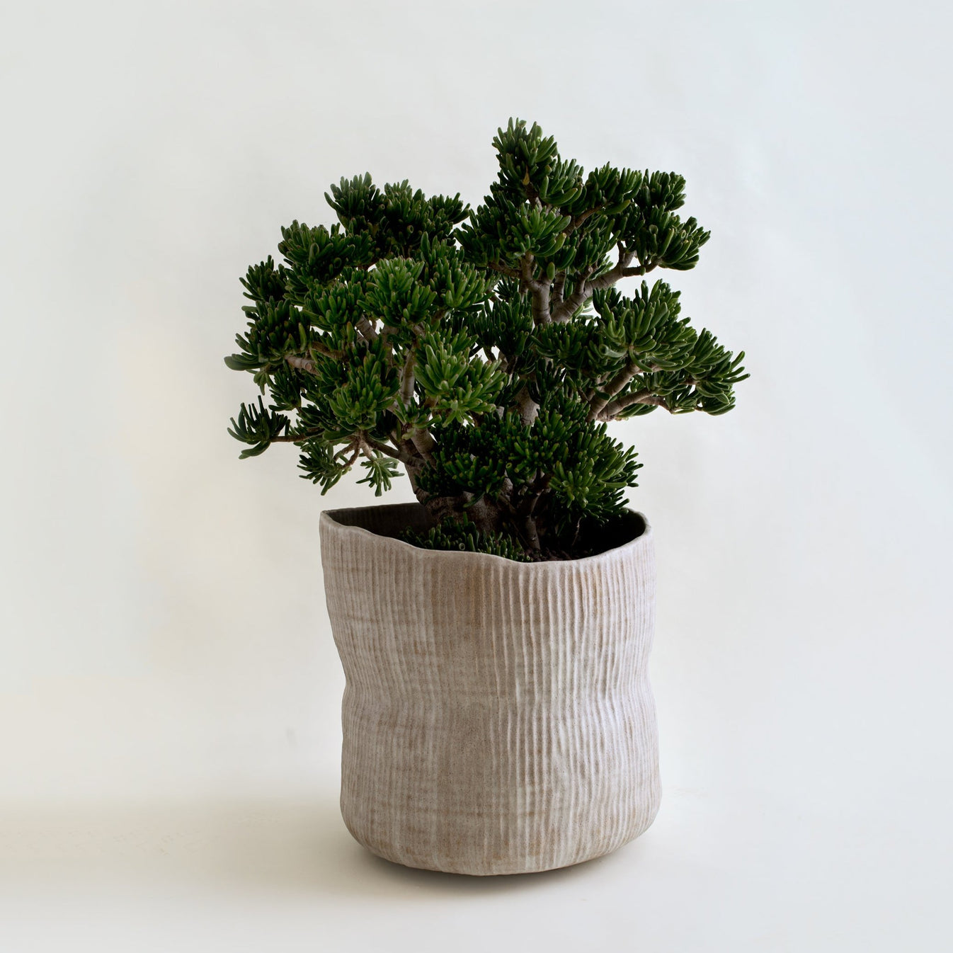 Raked Clay Planter – ORCA