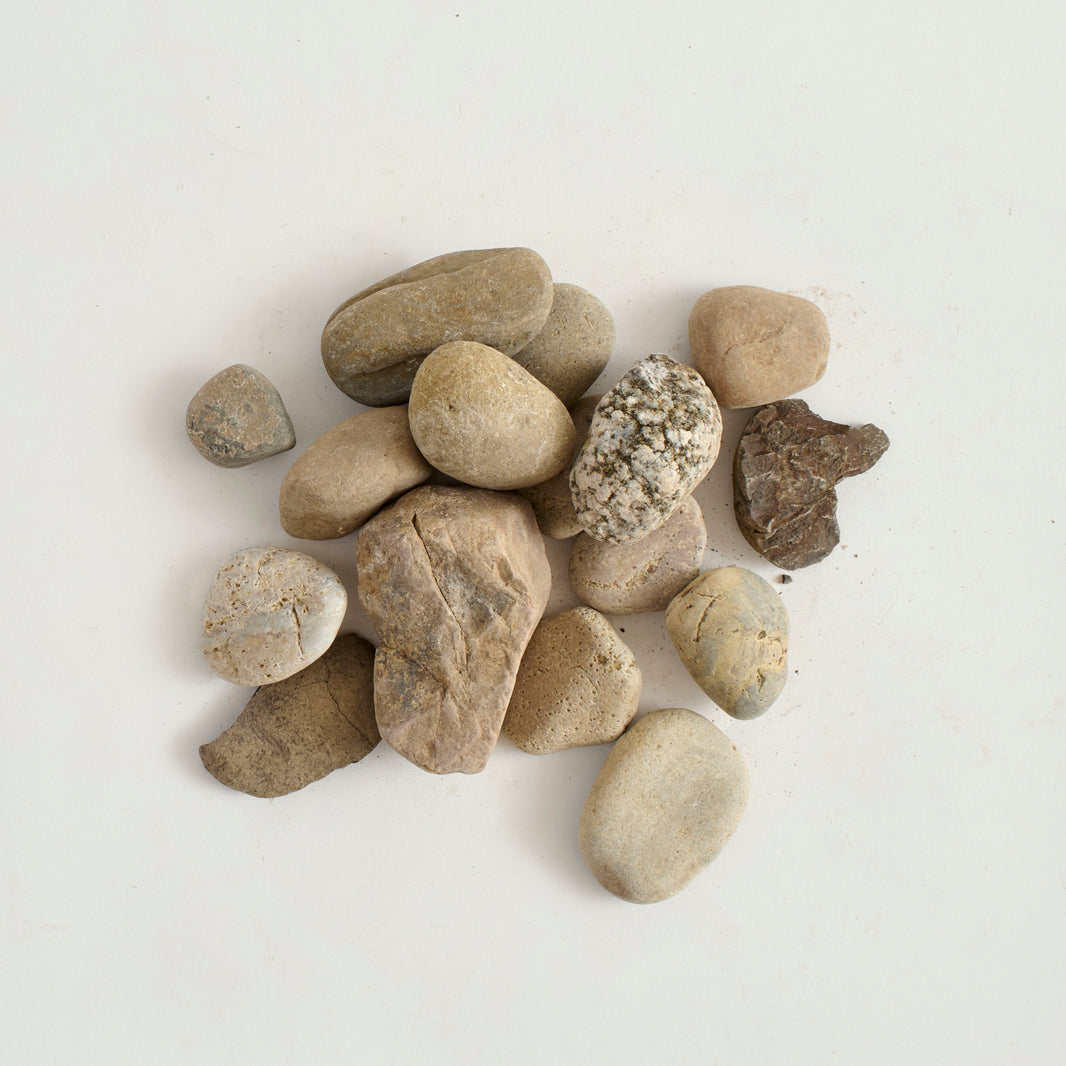 Rock – ORCA